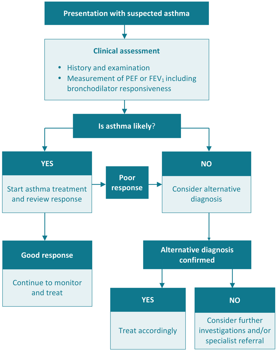 Asthma and Respiratory Foundation NZ Adolescent and Adult Asthma ...