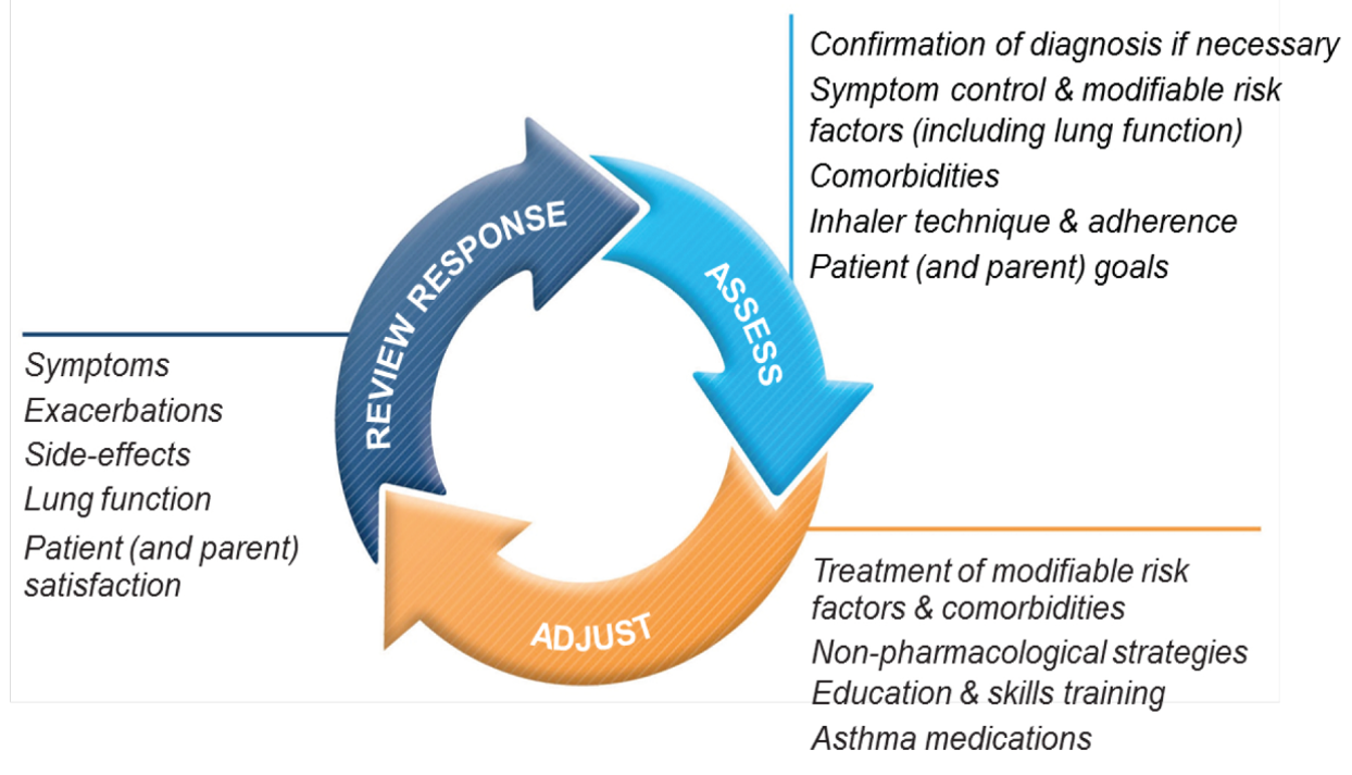 Asthma and Respiratory Foundation NZ Adolescent and Adult Asthma ...