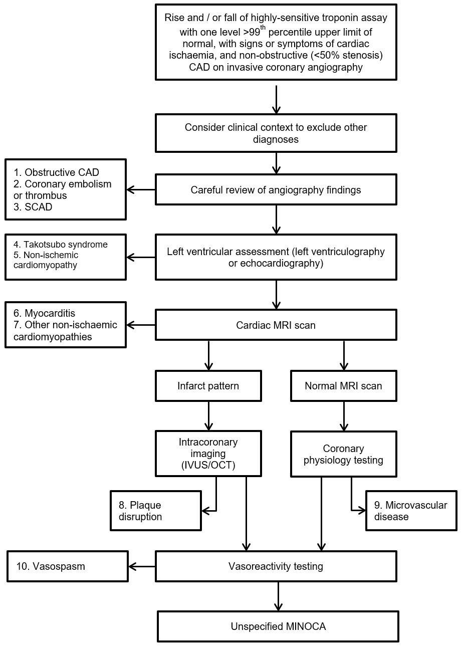 A pragmatic diagnostic approach to myocardial infarction with non ...