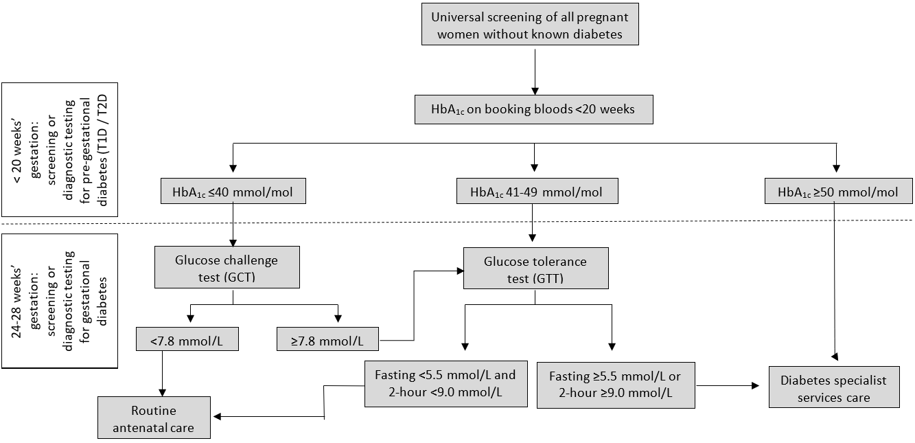 Ethnic inequities in screening for diabetes in pregnancy in New Zealand ...
