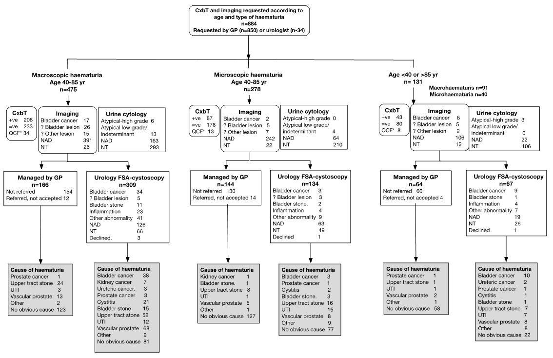 Assessment of a clinical pathway for investigation of haematuria that ...