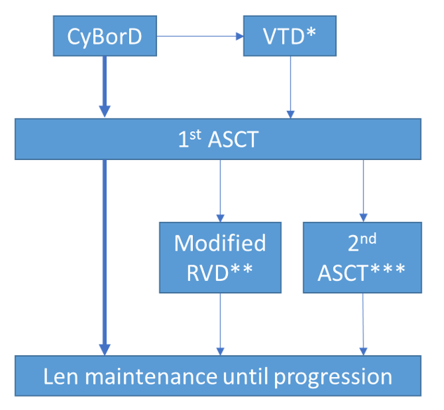 Consensus statement on the treatment of transplant-eligible patients ...