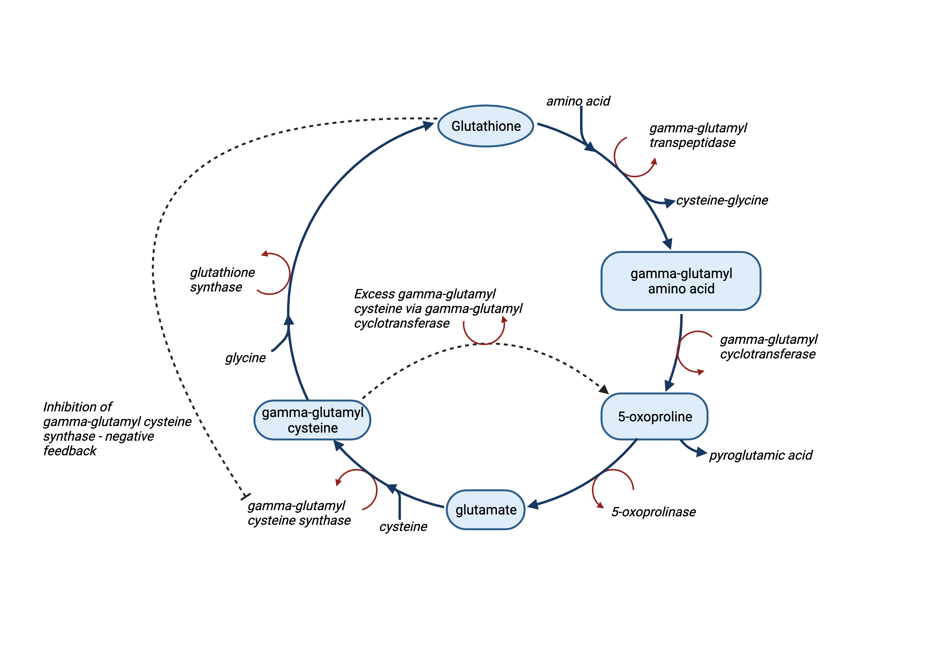 Pyroglutamic acidosis: an under-recognised cause of high anion gap ...