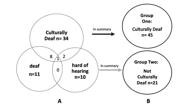 Deaf community views on paediatric cochlear implantation - The New ...