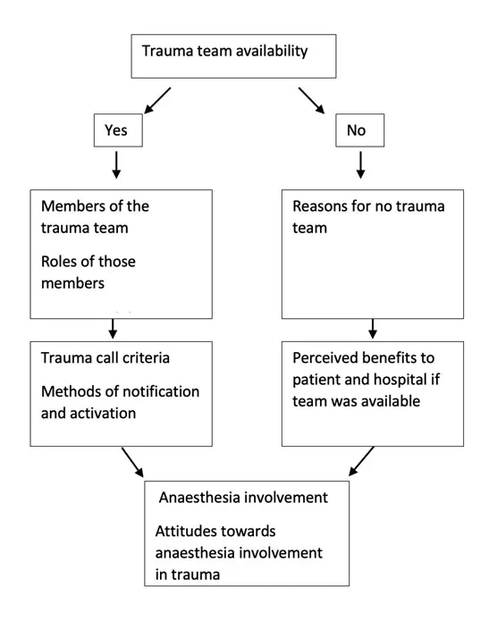 Trauma teams in Aotearoa New Zealand—a national survey - The New ...