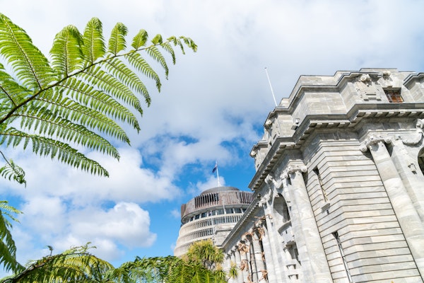 The New Zealand Medical Journal